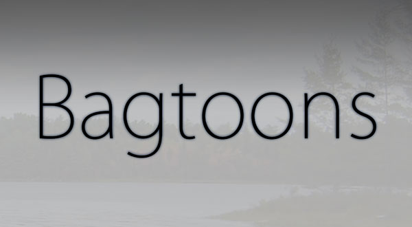 Bagtoons: Hearts Online Card Game Project